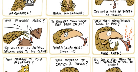 Green Humour: Ask Me Anything with the Pangolin