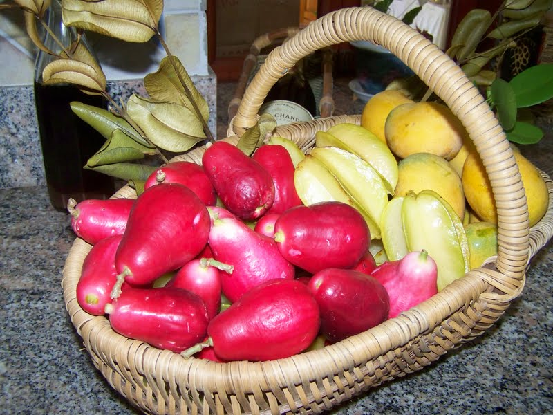 my rustic bajan garden: Tutti frutti and veggie planters