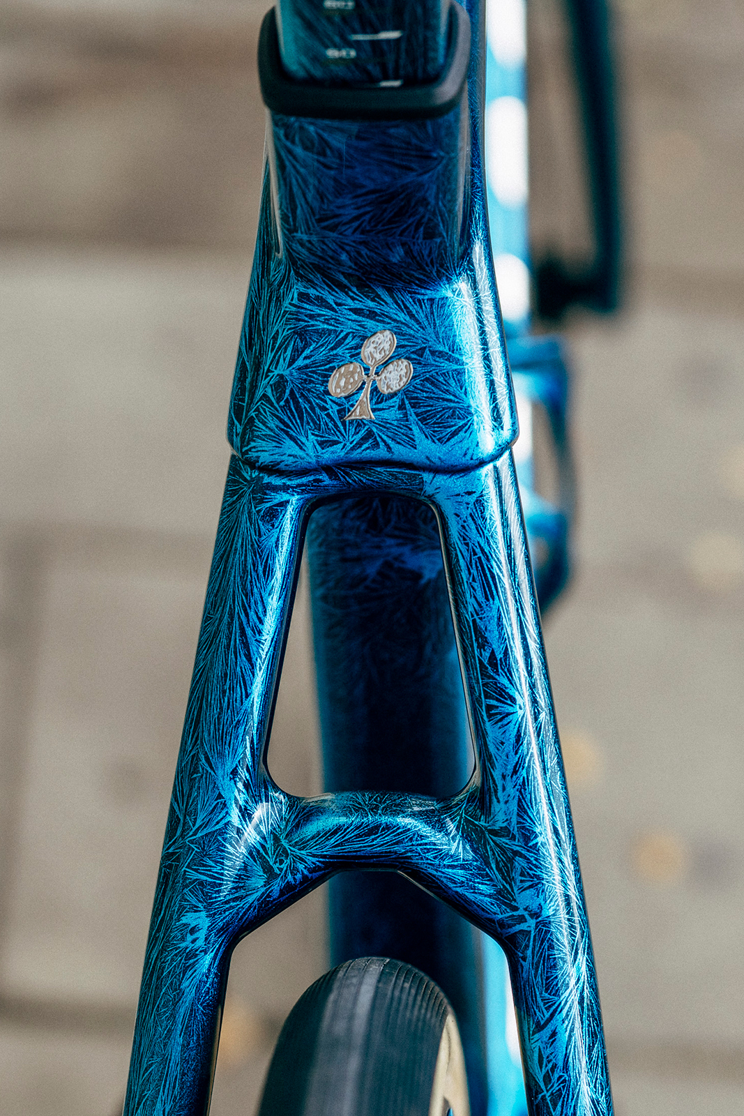 COLNAGO JAPAN Official Blog: 『C64』に新色『RC19』が登場