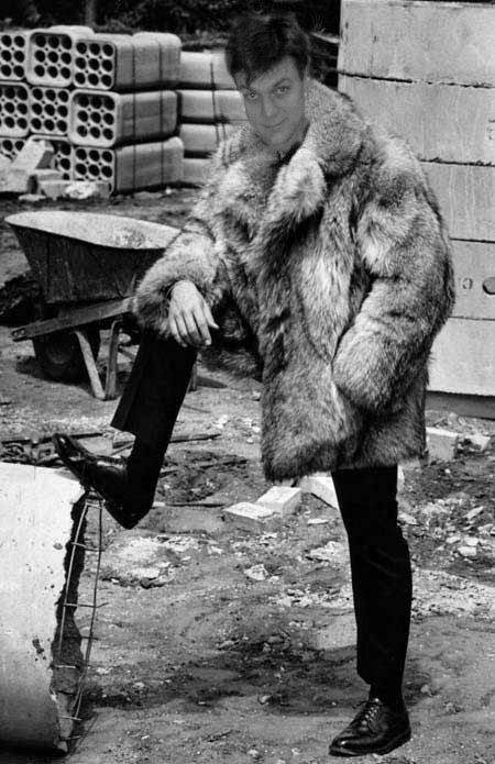 Mr. Link is a Meat-Helmet