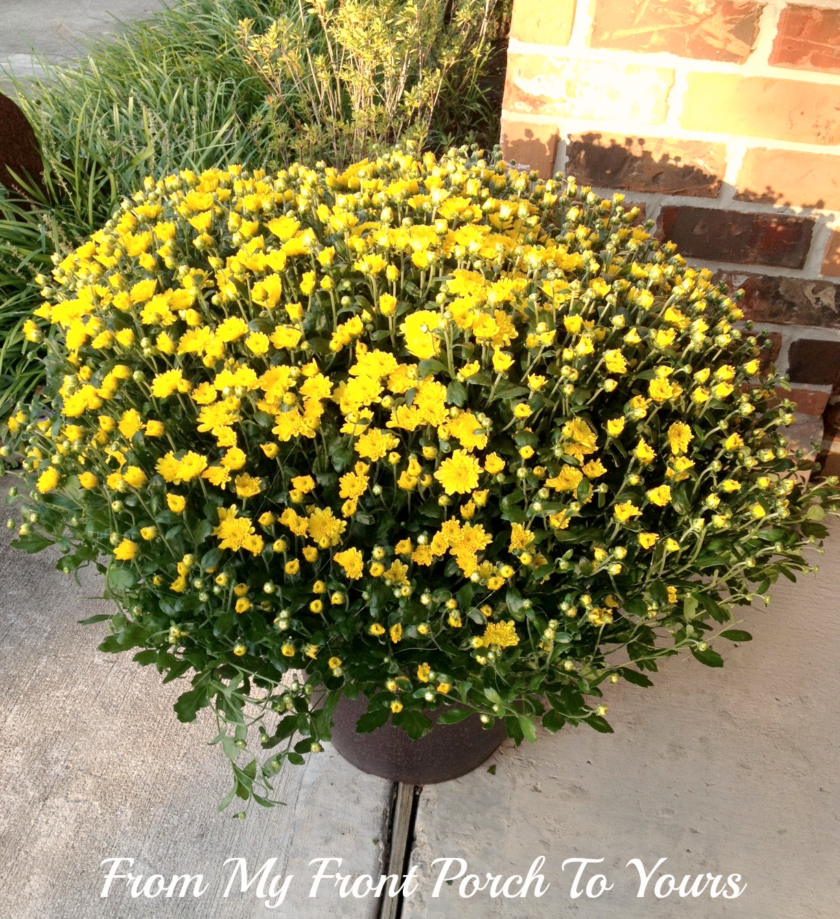 From My Front Porch To Yours: 9/23/12 - 9/30/12