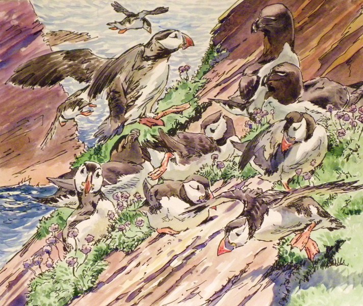 Tim Wootton Wildlife Art: Six Artists on Swona - An Island Odyssey