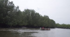 FALADEPAPAGAIO : AMBIENTALISTAS GUINEENSES DEFENDEM PRESERVAÇÃO E ...