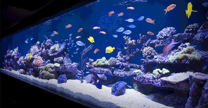Noahpinion: Yuppie Fishtanks: YIMBYism explained without "supply and ...