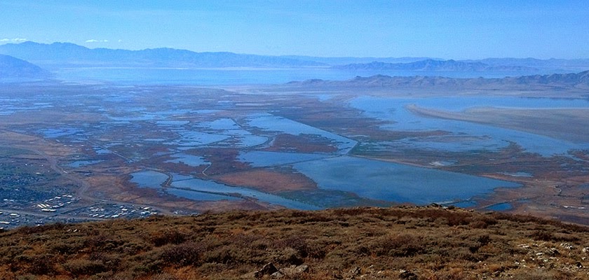 Utah Birding Spots: Farmington Bay WMA