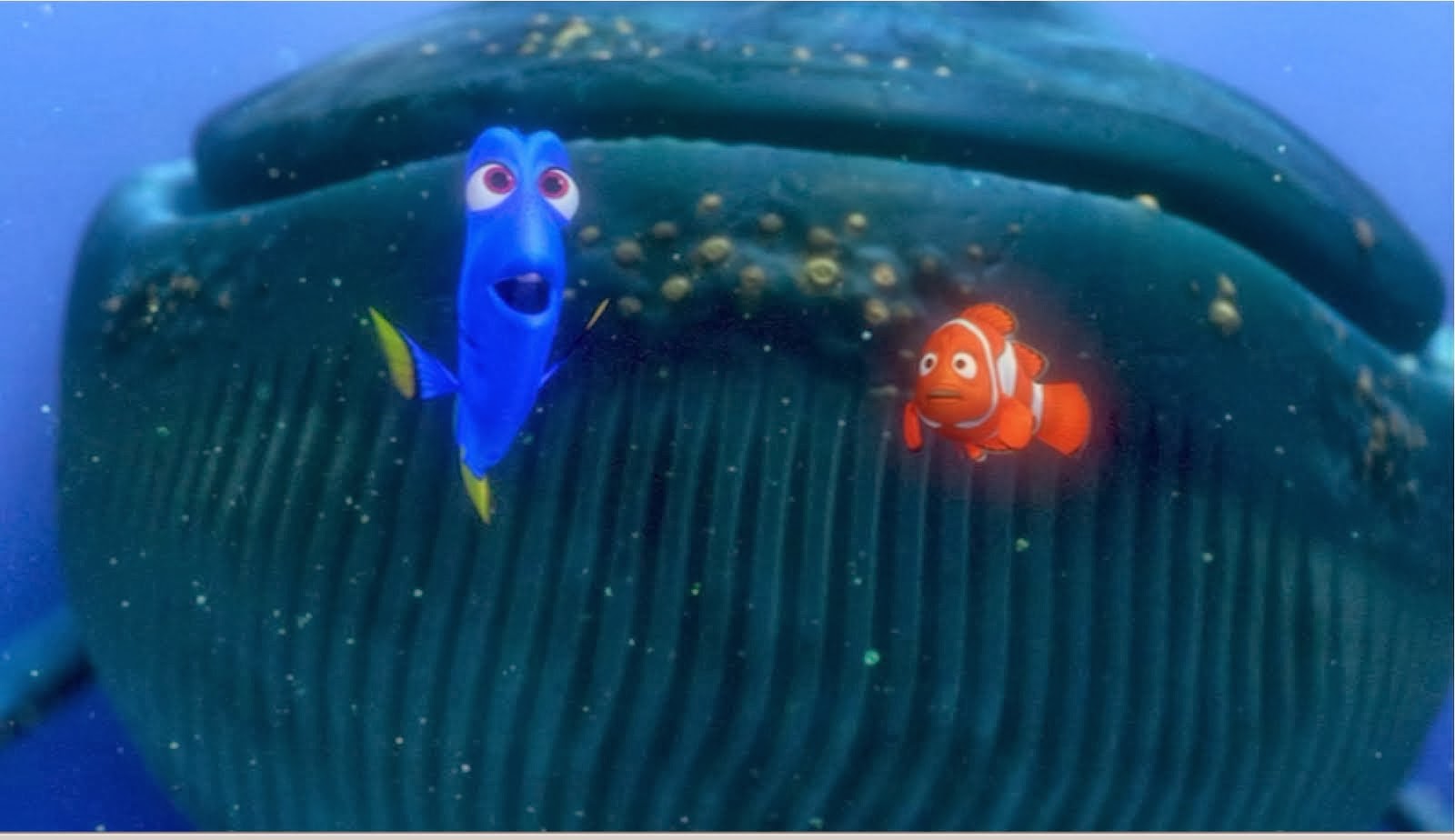 Disney Animation ~ The world of fantasy!: Finding Nemo~~~
