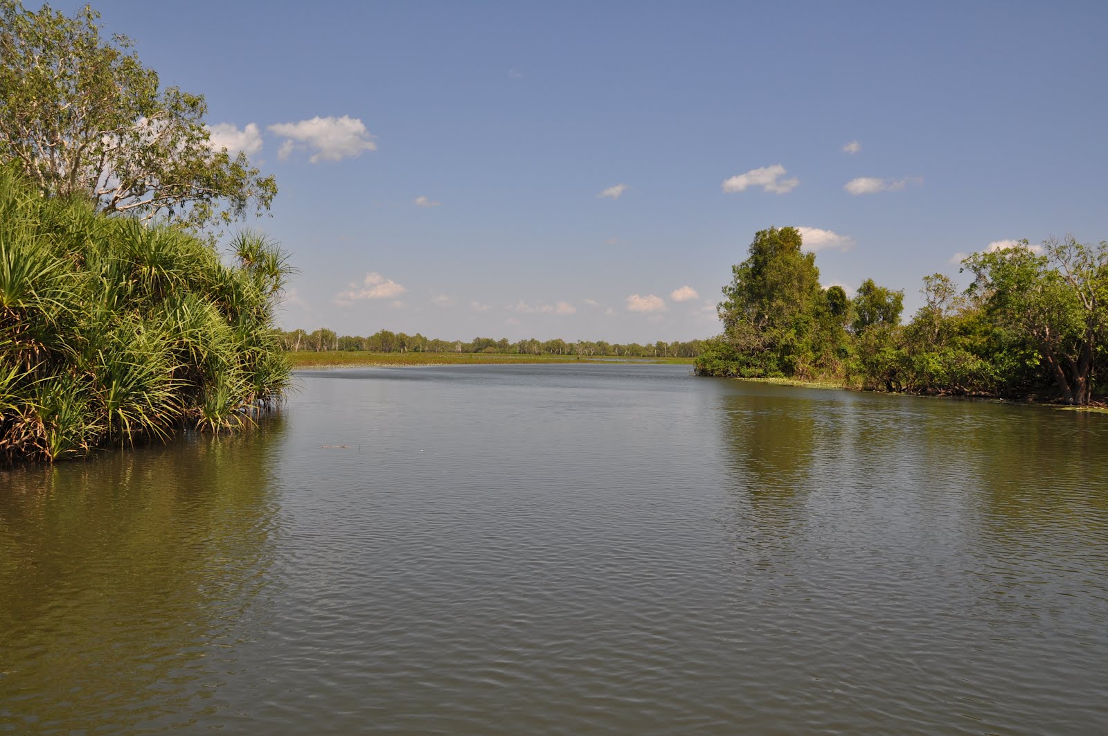Les aventures de Jordbaer et Justin: Yellow water