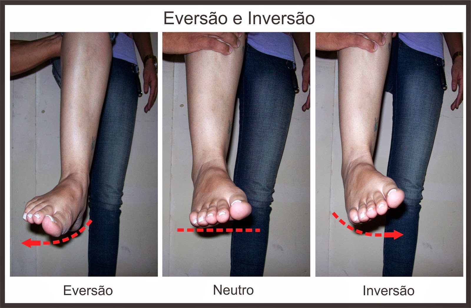 Inversão E Eversão Do Tornozelo - RETOEDU