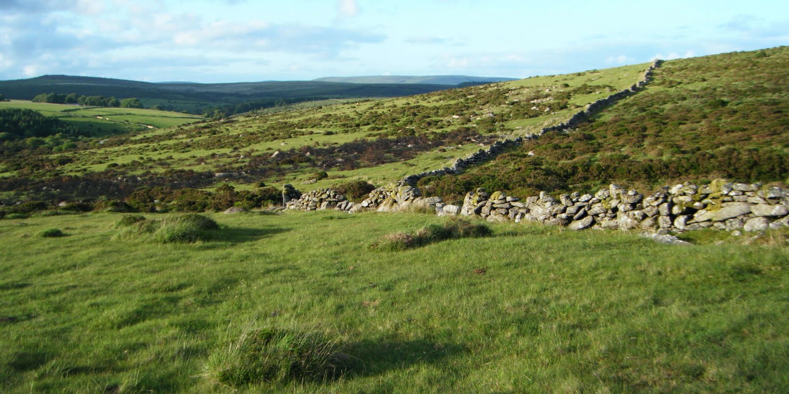 My Dartmoor Walks: Wednesday 8th June Hexworthy