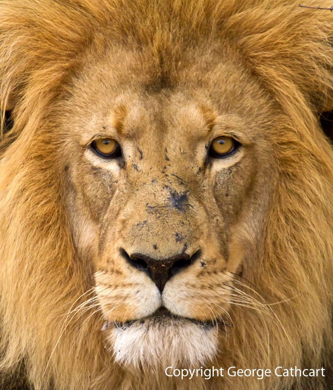 Fins Feathers Photography: November 2013