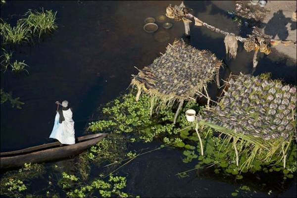 The Largest Swamp in the World