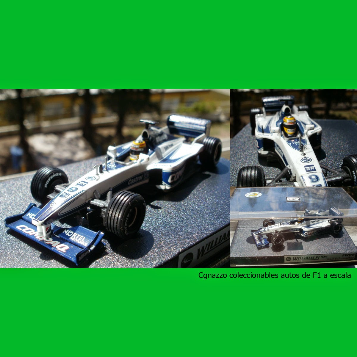 autos de F1 a escala: Williams FW22 Ralf Schumachernformula 1 F1