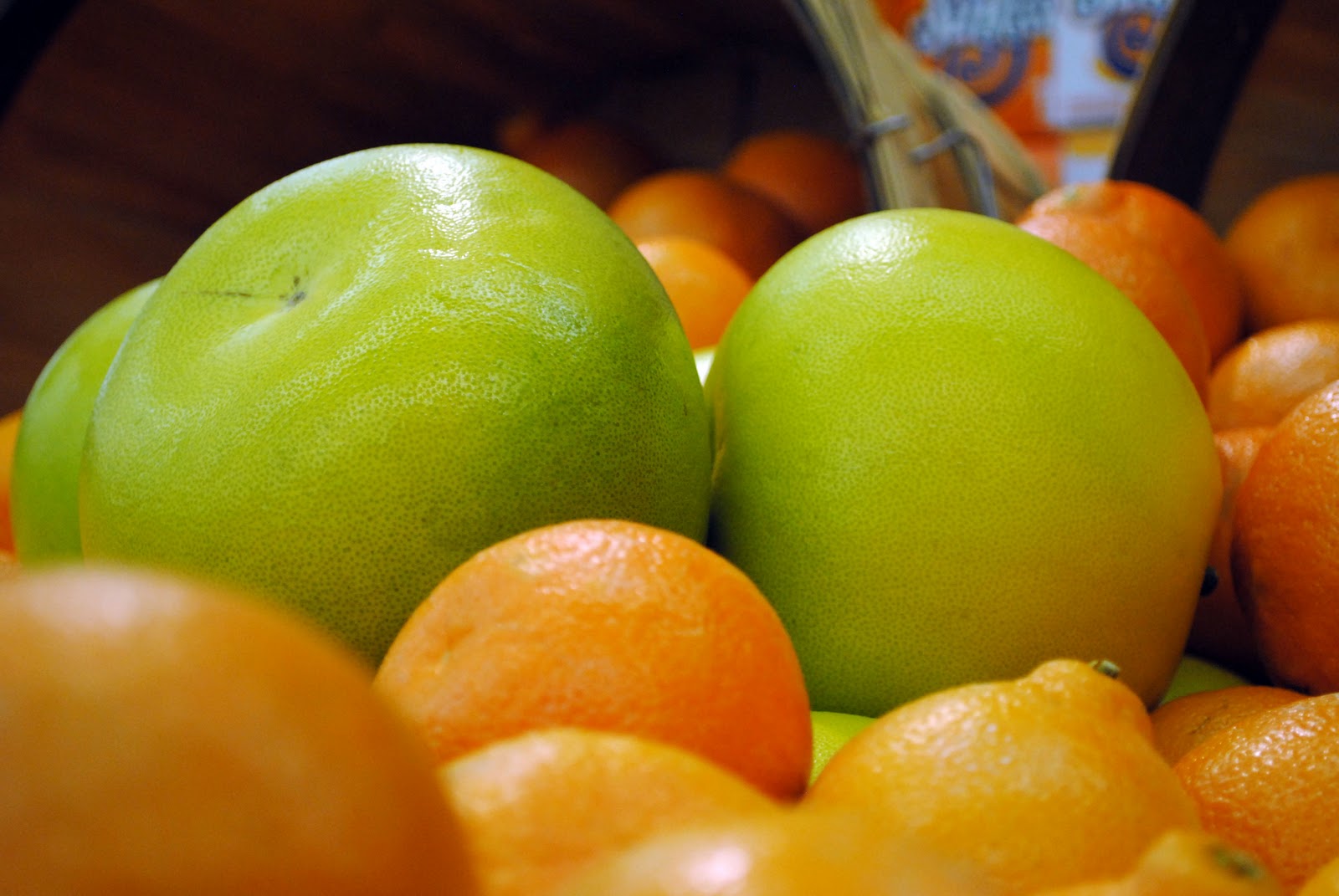 shauna crandall {the photography blog}