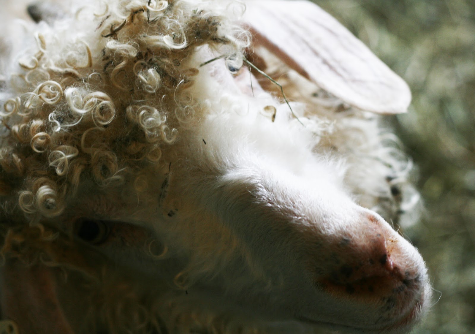 Jill Draper Blogs: Close to home