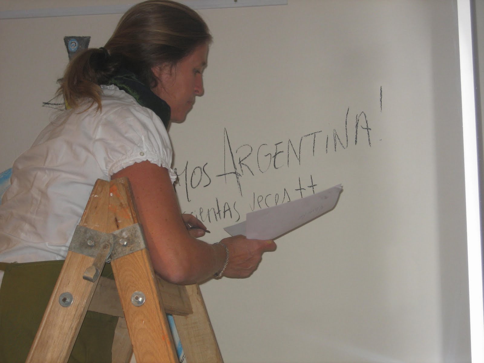 MARIA LAURA PINI: 2010 | Mundial Bicentenario 2010, Muestra con Felipe ...