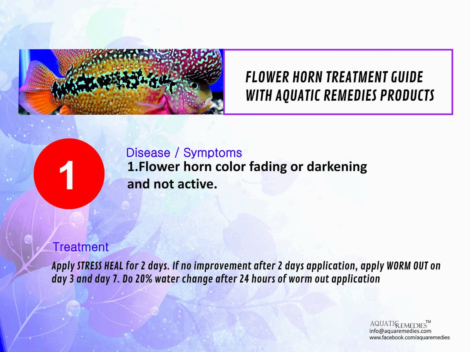 Flower Horn: Flowerhorn Fish Diseases & Treatment ( Aquatic Remedies )