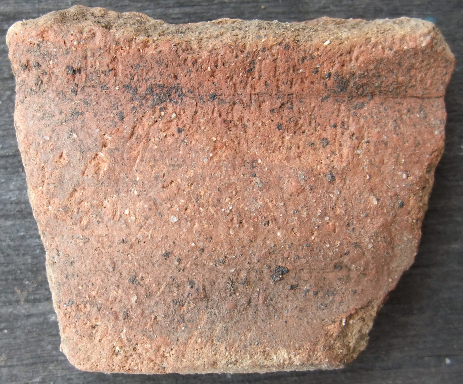 Hammerwich Wildlife: Archaeology