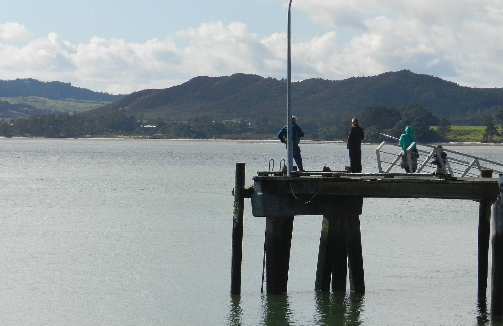 The Paddock: Opononi