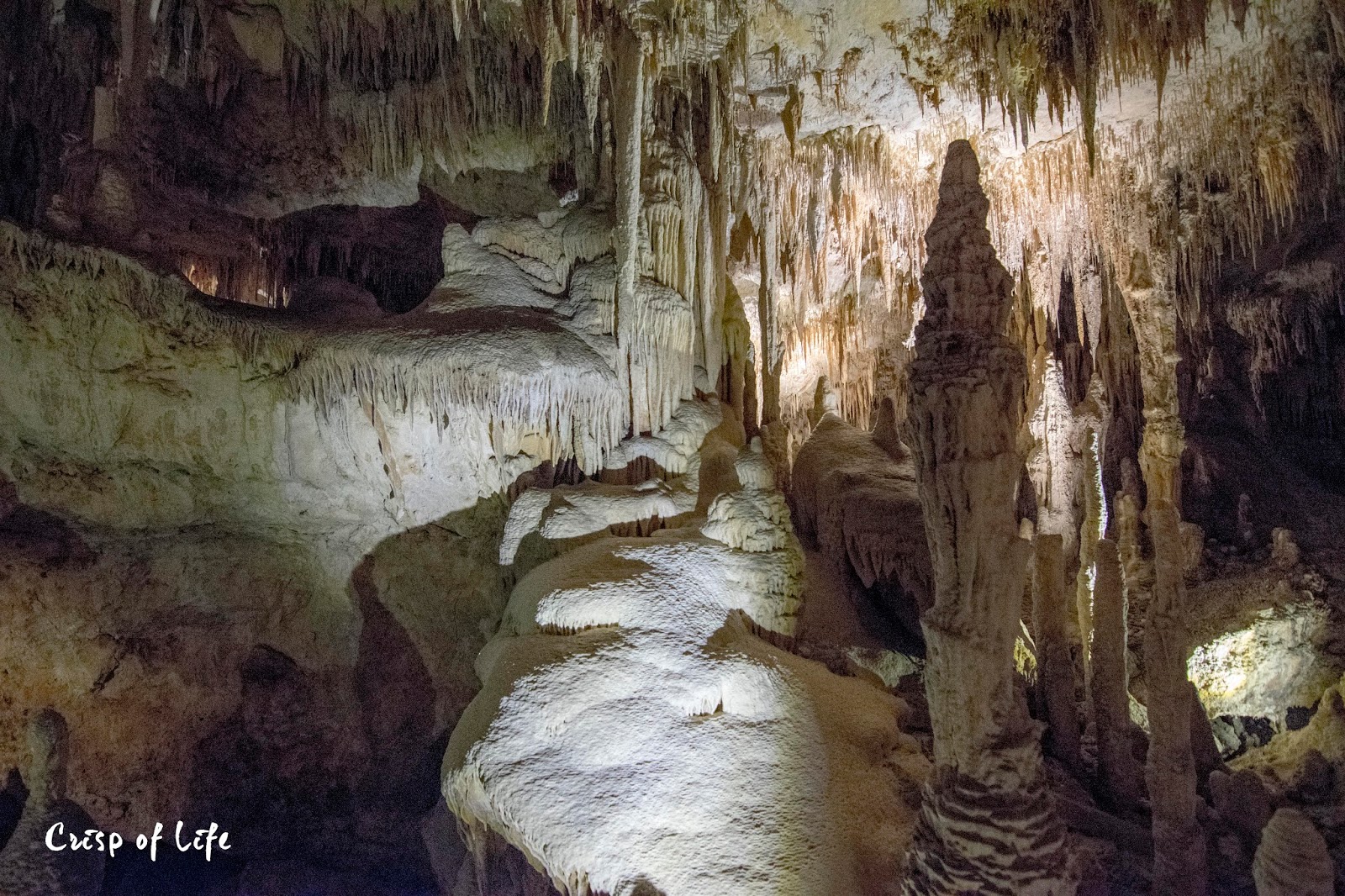 Western Australia Day 5 - Lake Cave, Mammoth Cave, Jewel Cave, A Maze'n ...