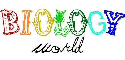 28 Unique Facts in a World of Biology | Elsa Elita