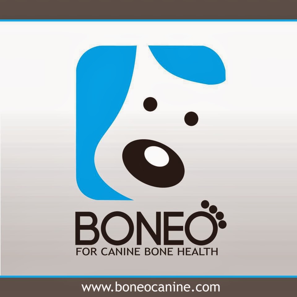 Sammi's Blog of Life: Boneo Review and Giveaway