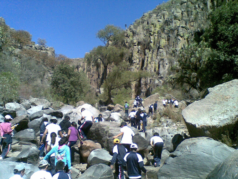 ESCUELA PRIMARIA "CARMEN SERDAN" TM