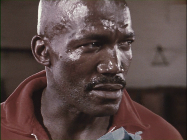 The Department of Afro American Research, Arts and Culture