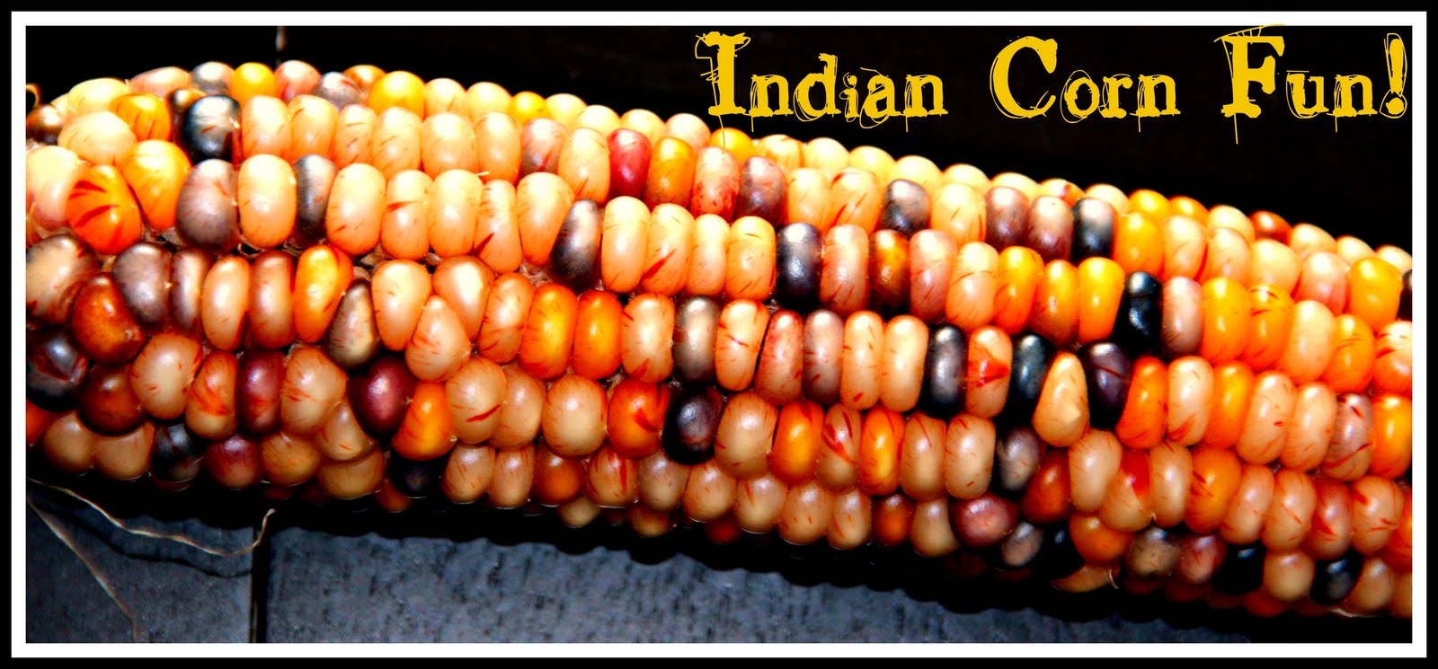 Blue Skies Ahead: Indian Corn Fun