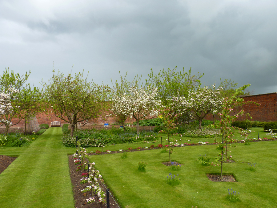 Middle of Nowhere: Brooding topiary at Longner Hall