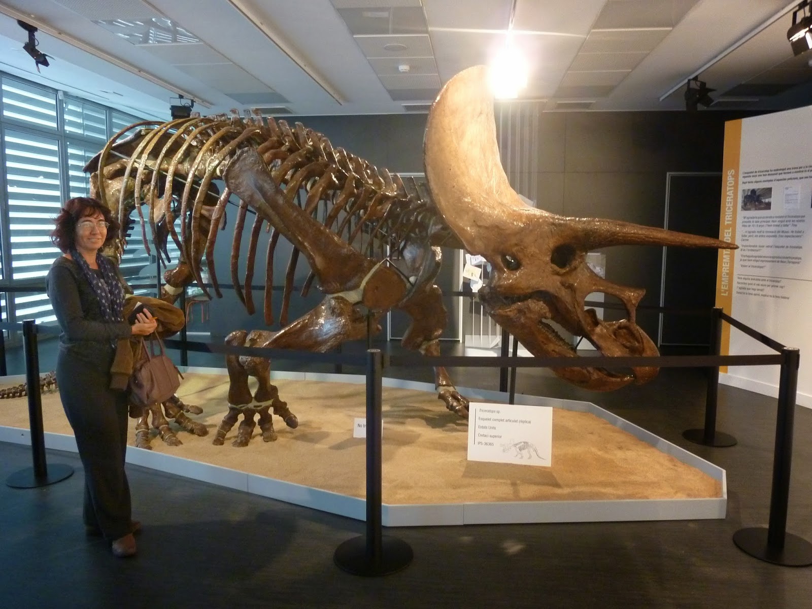 Amics del Museu Geològic del Seminari de Barcelona: Isabel Benet ...