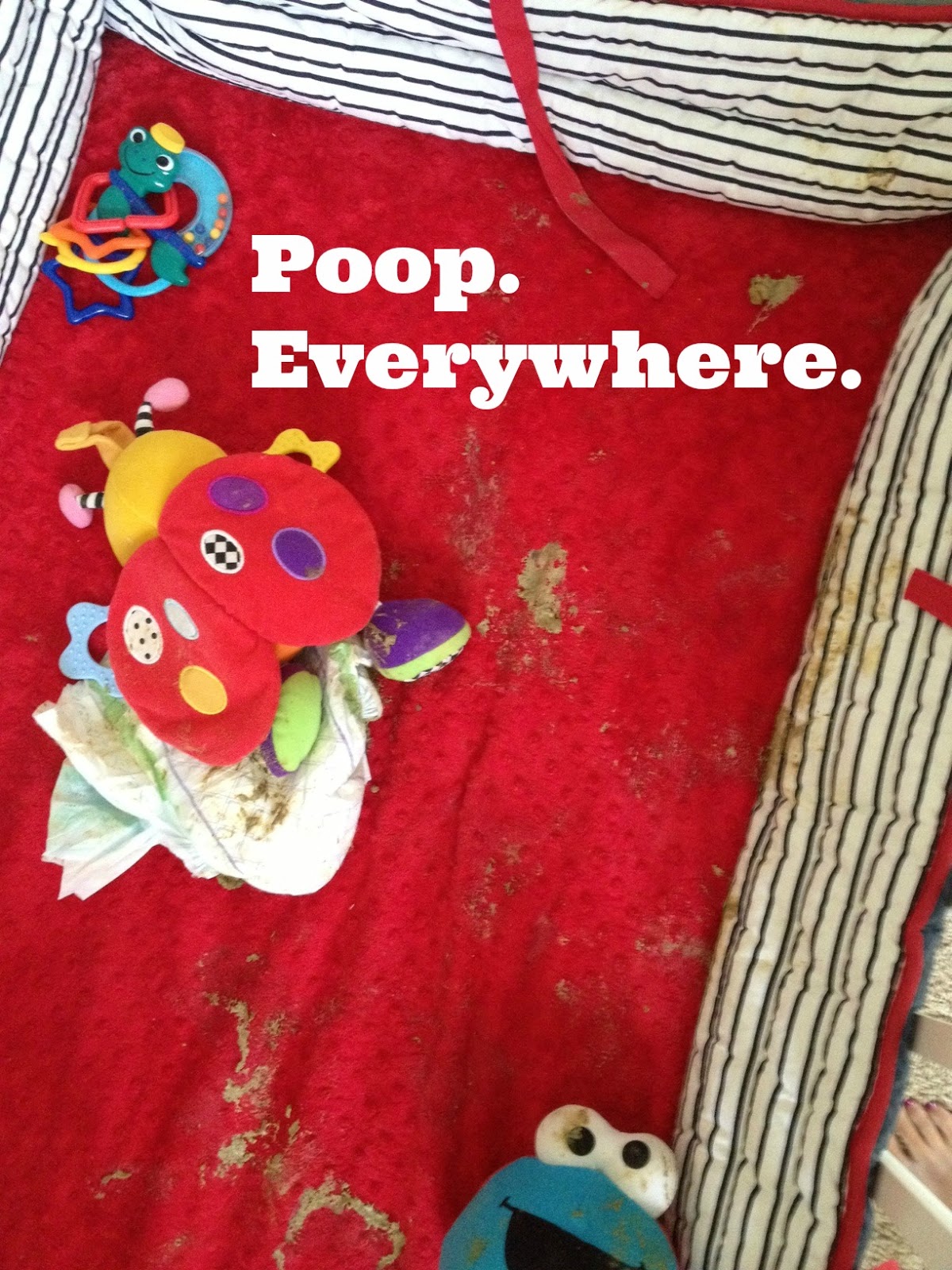 The Larson Lingo: That Time Luke Smeared Poop All Over His Crib. And ...