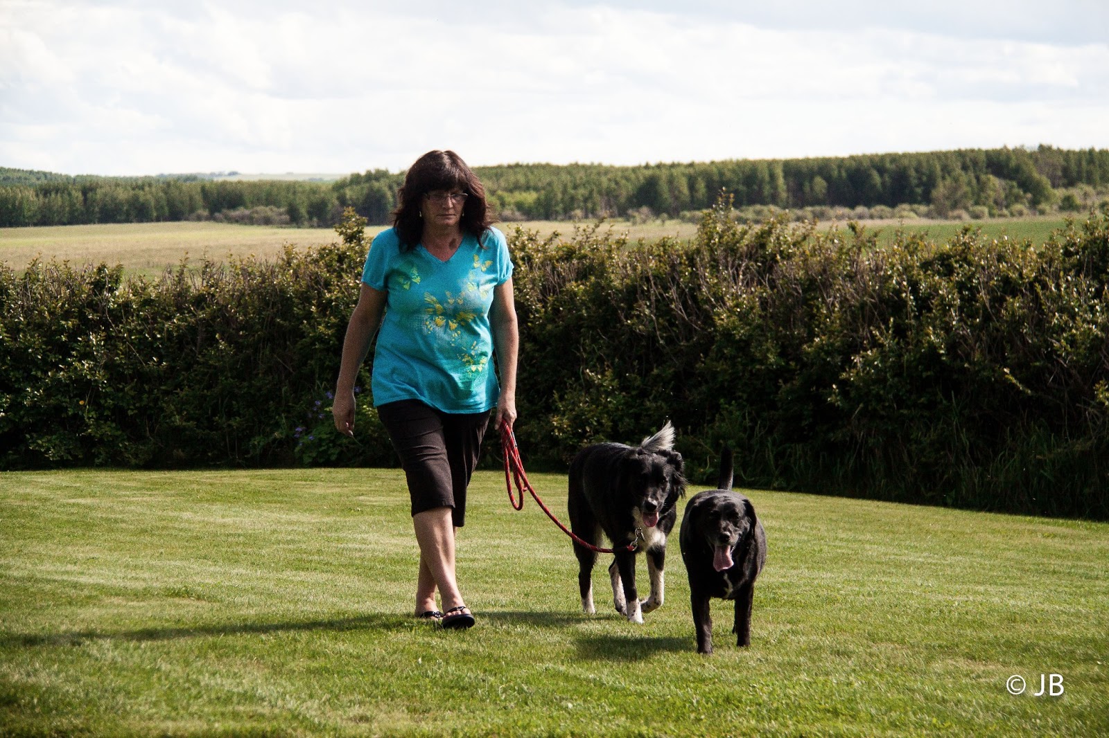 John & Brenda's Incredible Journey: Sunshine and Green Grass