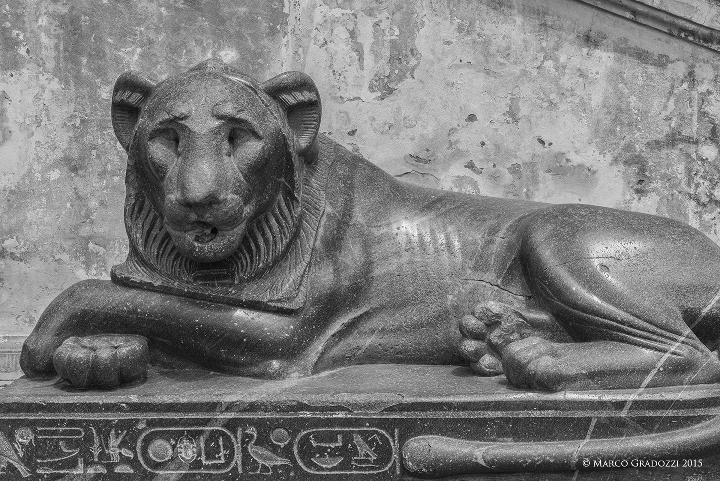 Innamorati di Roma: I leoni di Roma