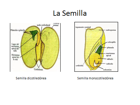 Técnicos en Producción Agropecuaria Ecológica : febrero 2015