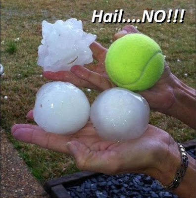 Living in the Peace Zone: Change of Plans: Hail -- No!!
