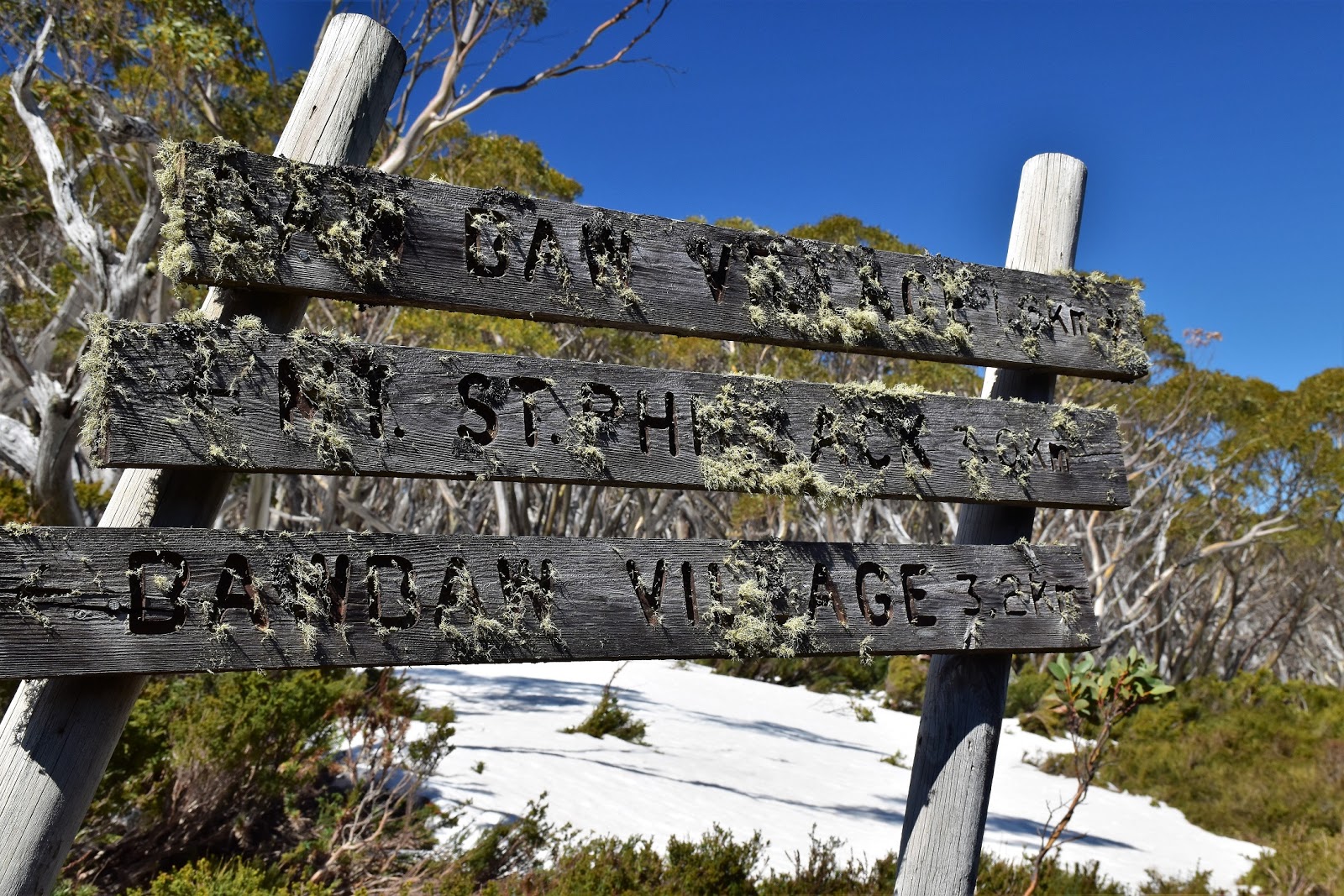 Goin' Feral One Day At A Time: Baw Baw Village Circuit, Baw Baw ...