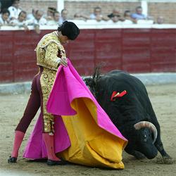 Grupo Teatral EAVA Fênix: O Universo dos toureiros