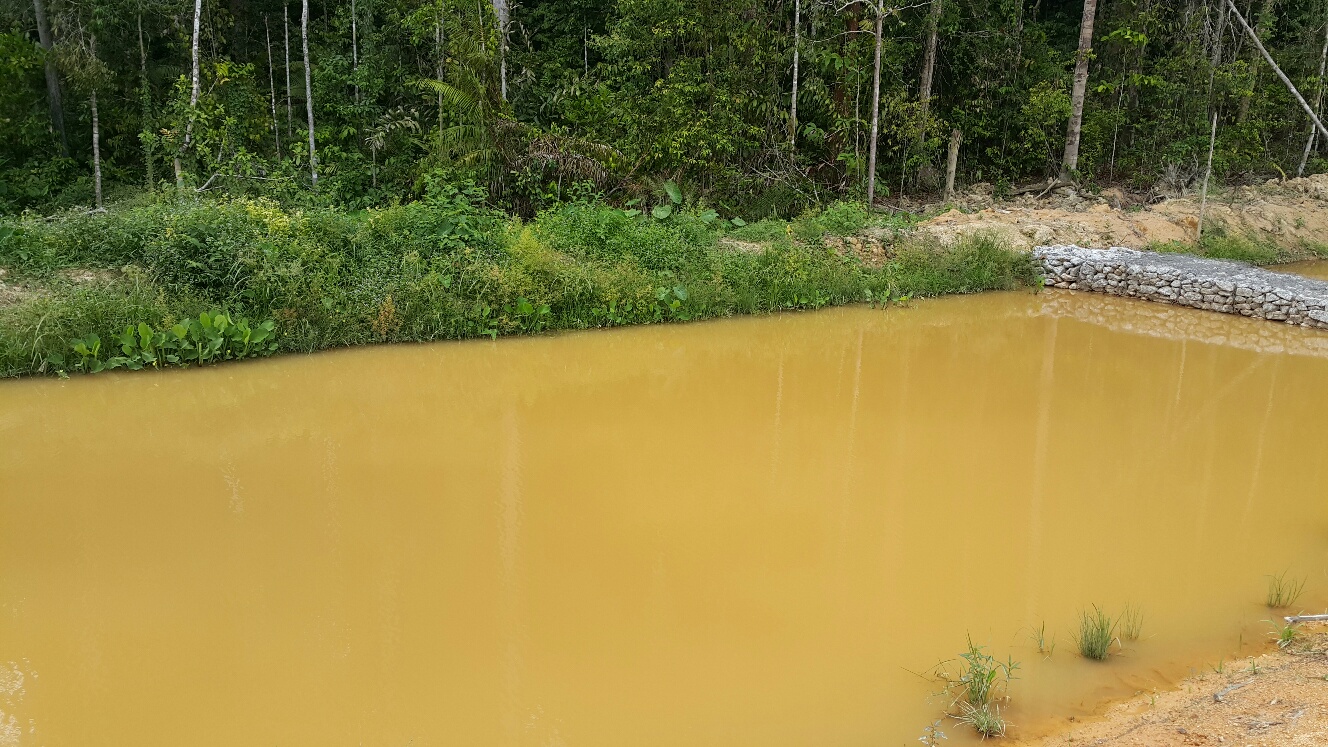 NILAIMAS SERVICES (TIA, TMP, EIA, ESCP, SIA CONSULTANT ) REGISTERED ...