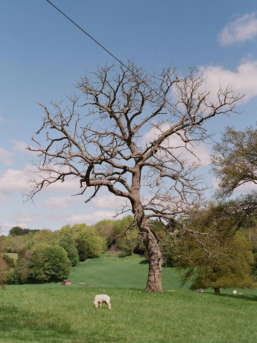 Vanessa Jackman: Weekend Life....A Walk in the English Countryside (Surrey)