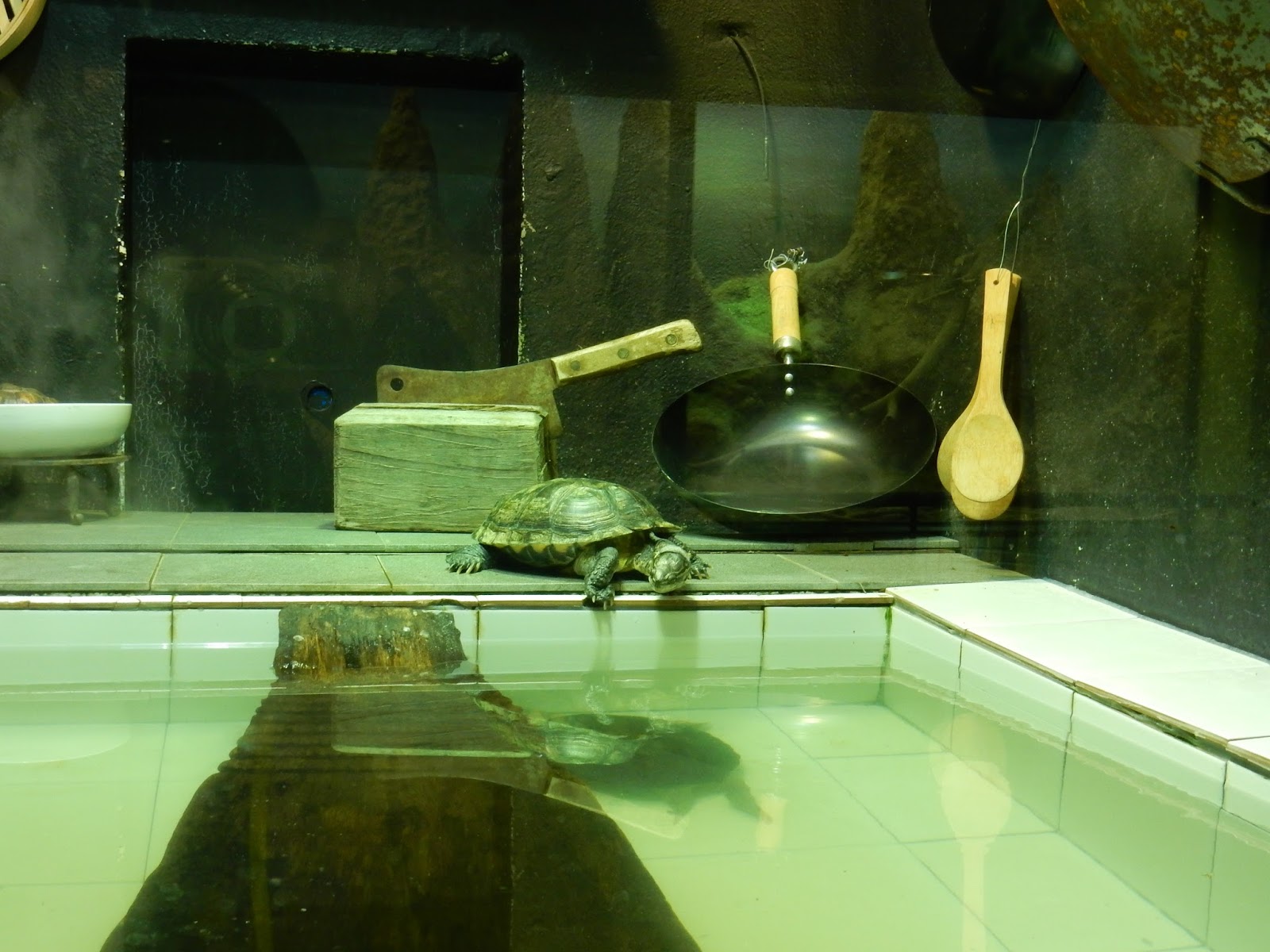 Raptormaniacs: London Zoo Part V: Reptile House