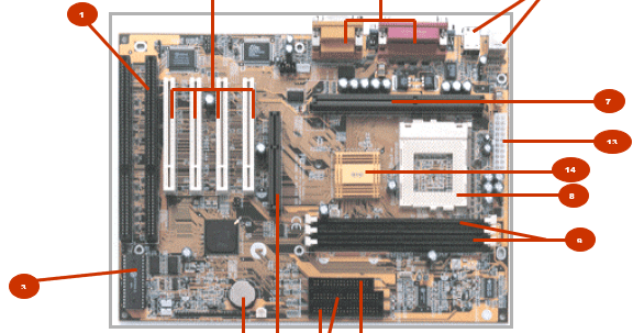 "Identificación de los componentes del CPU"