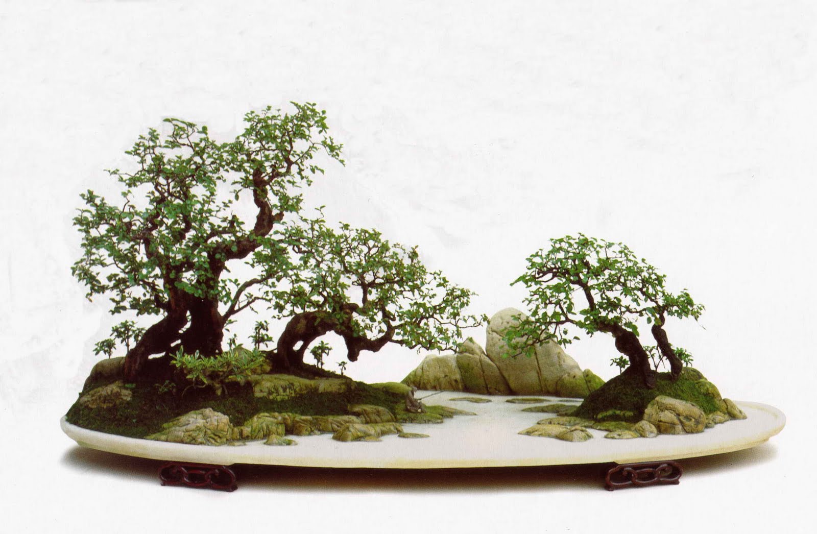 paradis express: Penjing