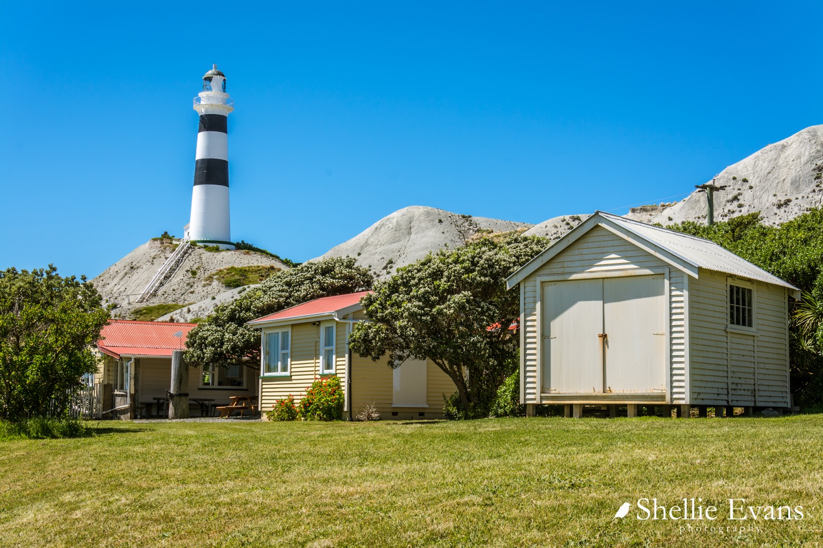 Two Go Tiki Touring: A Walking Adventure to Cape Campbell