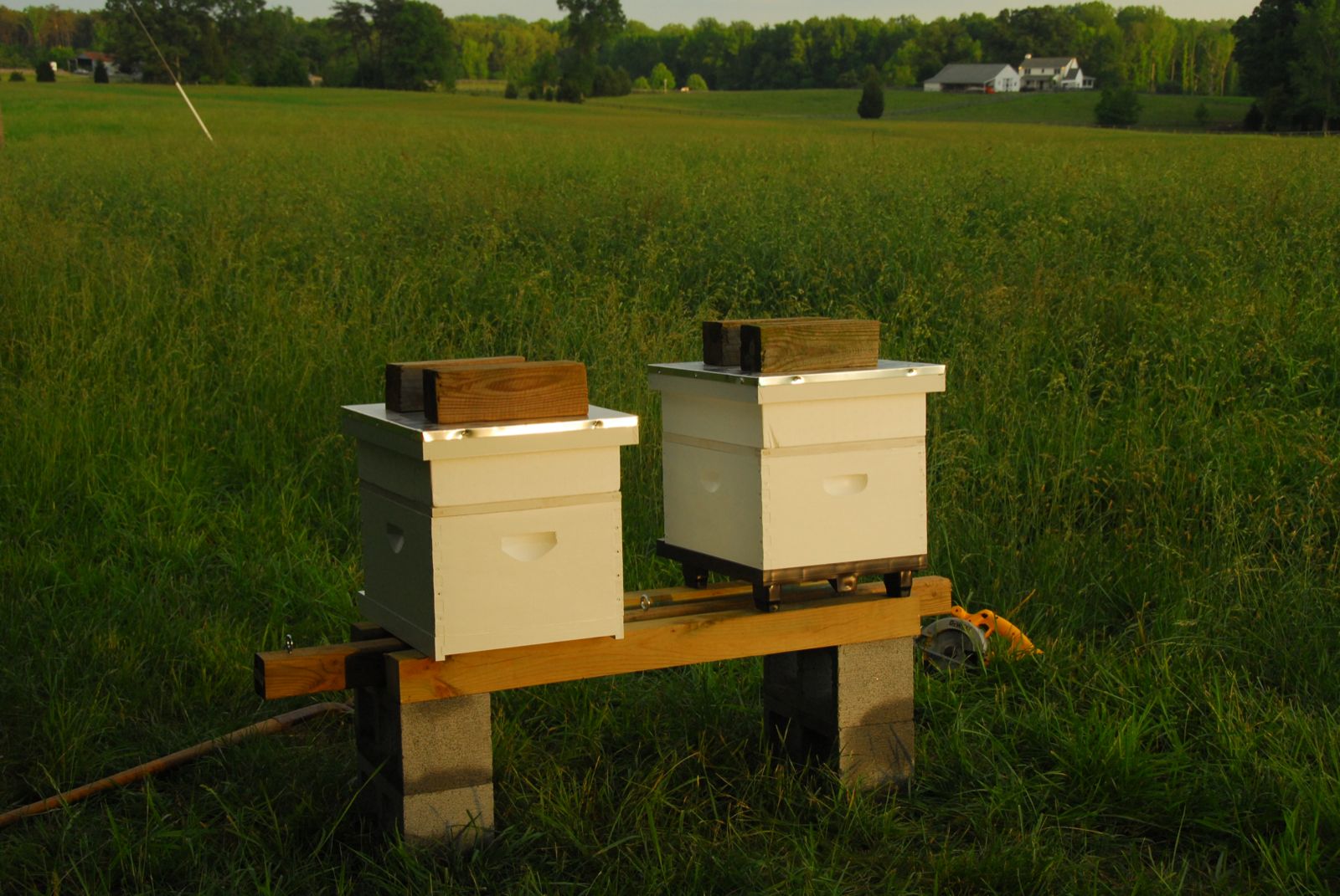 CONCRETE to CHICKENS: Bee Hive Setup