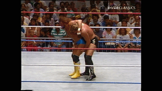 Ted Dibiase Sr. ♔ Explosive Wrestling Gifs