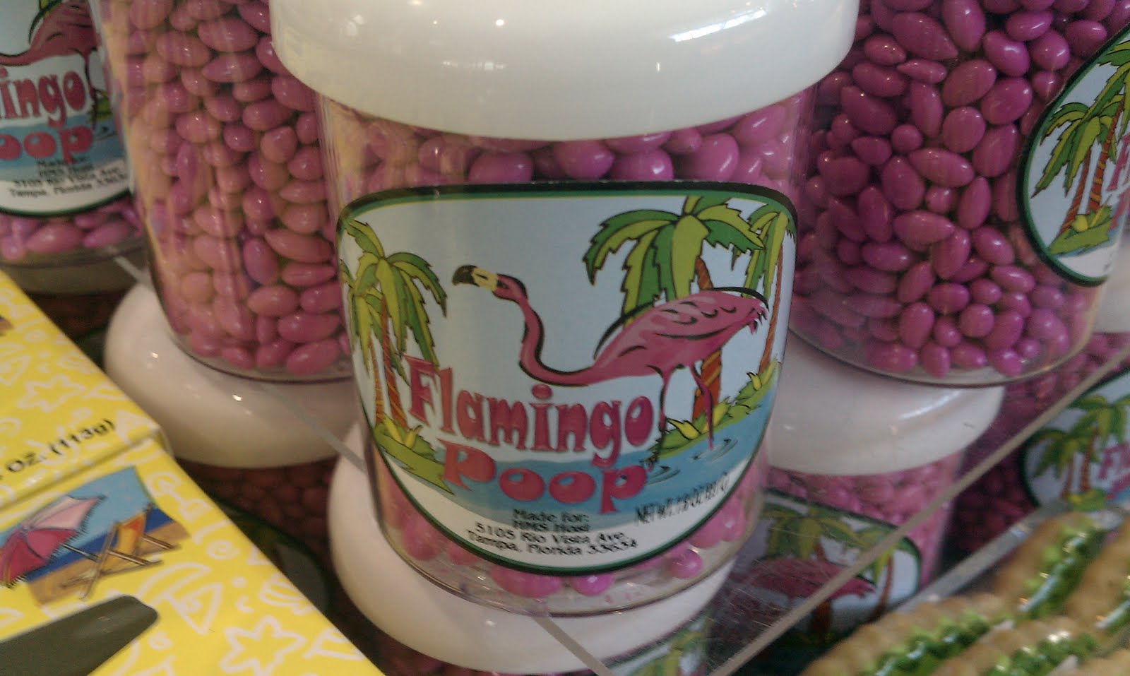 WILD ABOUT WORDS: NESCBWI 2011 Conference and, um, Lobster Poop