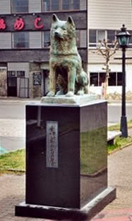 ASOKKA: HACHIKO, una historia mas fiel