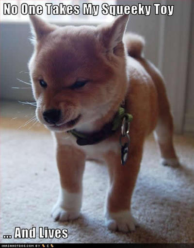 Thinking Pink: Top Five LOL Dogs of the Day