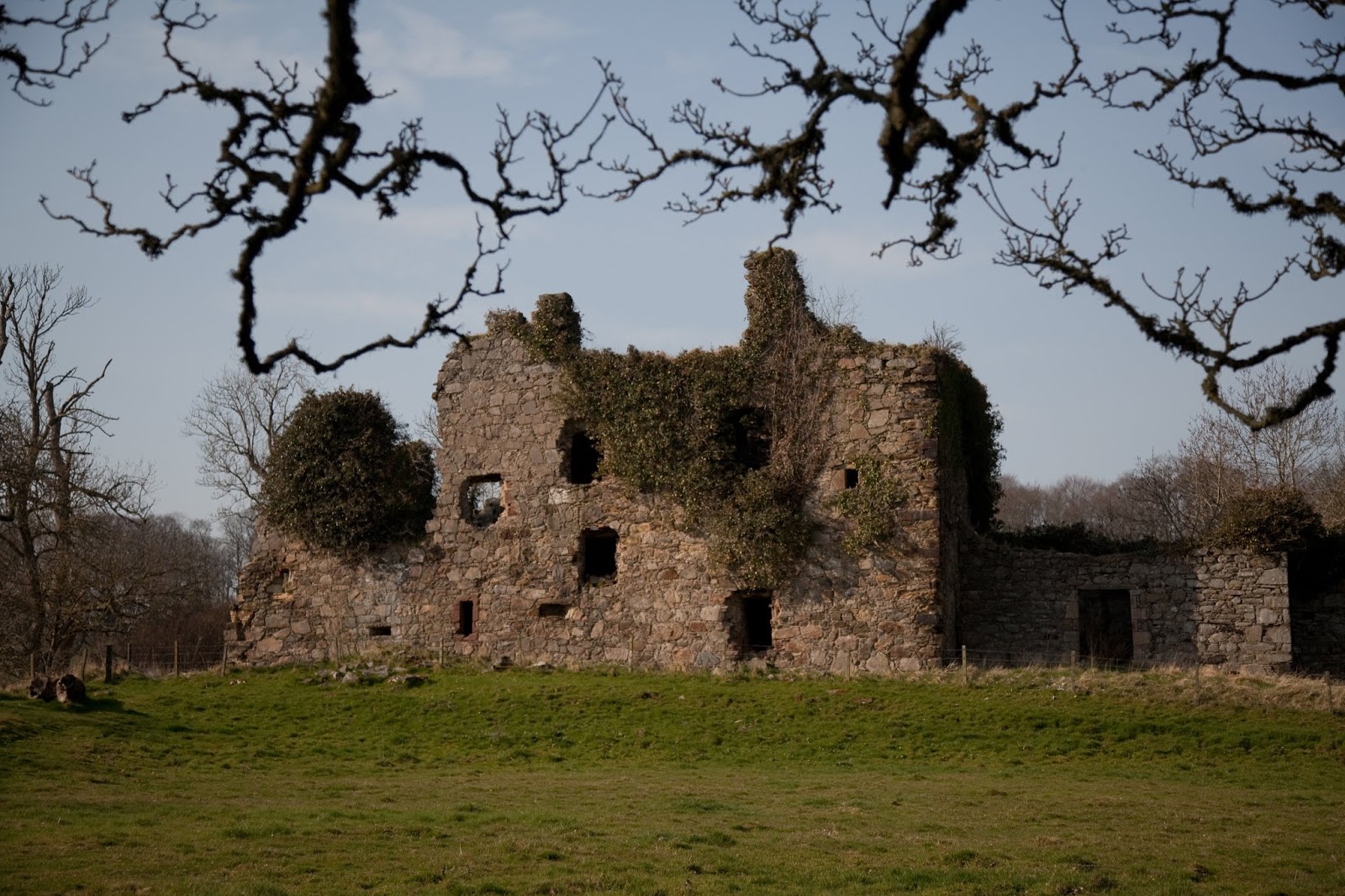 Walking @ the Braes of Gight