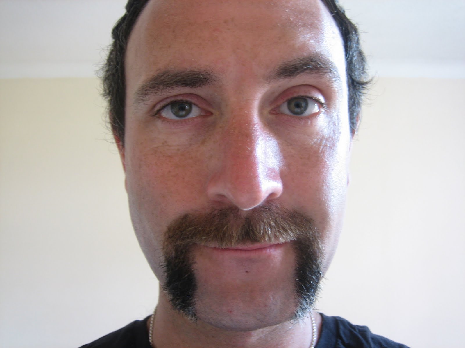 The Horseshoe Moustache. | Facial Hair Styles | Pinterest | Moustache ...